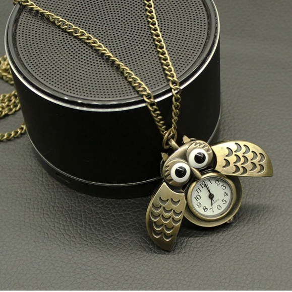 Accessories | New Beautiful Owl Bird Pocket Watch | Poshmark